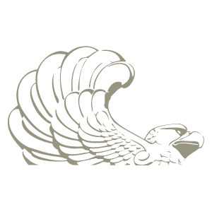 National Instruments - icon | Automation brands